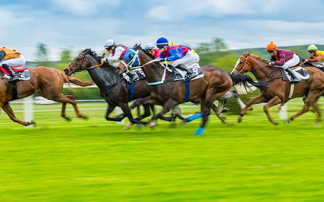 Night Time Team Building Activities | Pinnacle Team Events