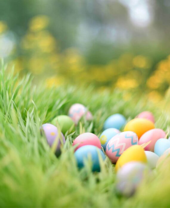 Team Building Activities Australia | Pinnacle Team Events